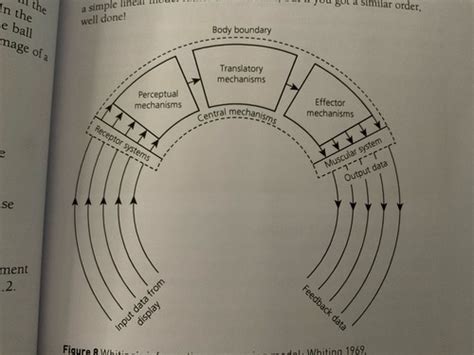 Information Processing Pe Flashcards Quizlet Information Processing Pe Flashcards Quizlet