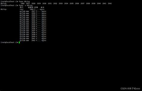 Linux怎么查看端口被哪个进程占用linux查看端口被哪个进程占用 Csdn博客