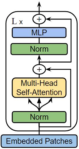 encoder architectures download scientific diagram