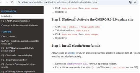 Low Information Content Images When Attempting Elastix Registration Image Analysis Image