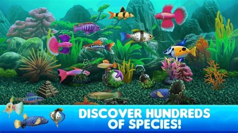 8 Best Aquarium Apps For Android And Ios Free Apps For Android And Ios