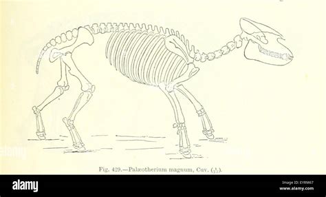 The Image Shows A Page From A Geology Textbook Illustrating Key Geological Concepts And Rock