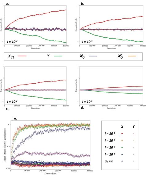 Sex Chromosome Divergence In Model B For Various Intensities Of Download Scientific Diagram