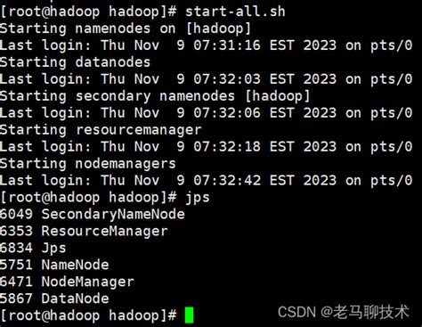 hadoop3 x单机模式local standalone 模式 hadoop standalone csdn博客