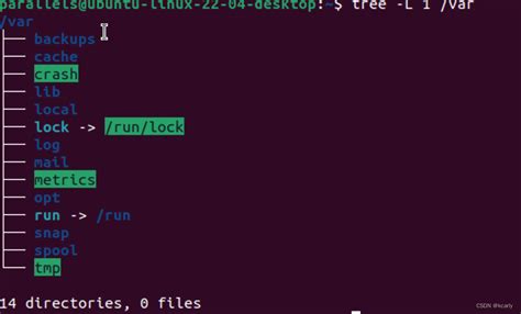 Linux 体系下根目录文件夹都是干啥的?linux 根目录下文件夹作用 Csdn博客 Linux 体系下根目录文件夹都是干啥的?linux 根目录下文件夹作用 Csdn博客