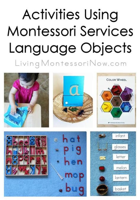 Activities Using Montessori Services Language Objects