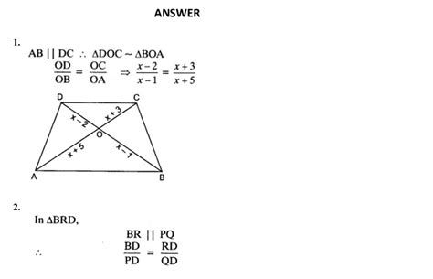 Important Questions Of Chapter 6 Triangle Class 10 Maths Mavi Sir