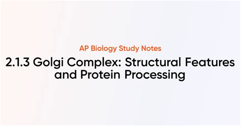 Golgi Complex Structural Features And Protein Processing 213 Ap
