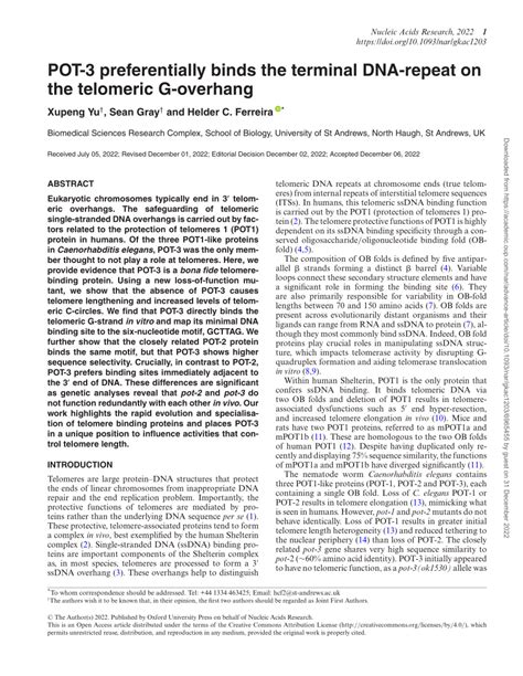 pdf pot 3 preferentially binds the terminal dna repeat on the