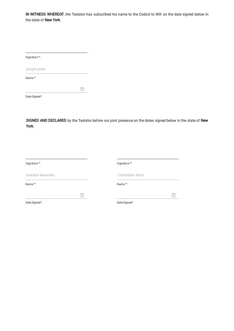 Printable Blank Codicil Form