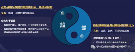 数字时代的 Cdo 生存手册——《首席数据官知识体系指南》直播回顾 知乎