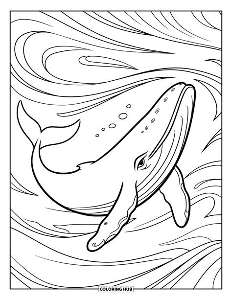 90 Dibujos De Ballenas Para Colorear Para Niños Y Adultos Gratis