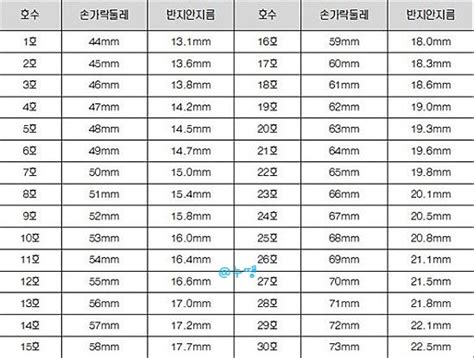반지 호수 재는 법 주의할 점 링게이지 호수 측정 남자 여자 반지 호수 네이버 블로그