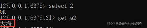 Redis基础完整版简介和常用命令全面key操作五种数据类型的增删改查Redis与Python交互附源代码 阿里云开发者社区