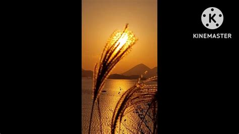 돌아와 주오작사이연옥작곡임승수감미로운기타연주 가수김근영♡♡ Youtube