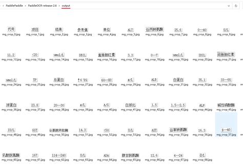 百度飞桨paddlepaddle Pp Ocrv3 文字检测识别系统 Paddle Inference 模型推理（离线部署） Vipsoft 博客园