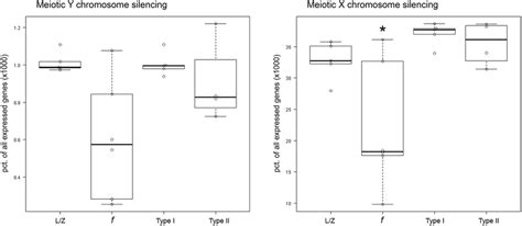 Aberrant Sex Chromosome Silencing In Type I And Ii Arrested Download Scientific Diagram