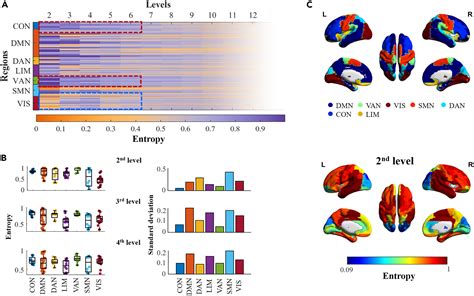Hierarchical Overlapping Modular Structure In The Human Cerebral Cortex Improves Individual
