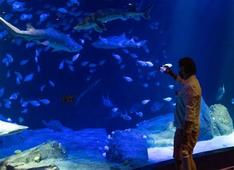 Prenota I Biglietti Per Il Luna Park Di Coney Island