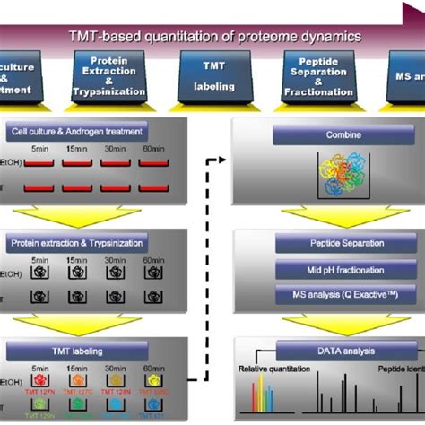 Experimental Scheme For The Identification And Quantification Of