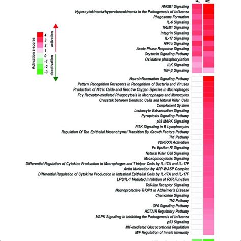 Ingenuity Pathway Analysis Highlights Sex Specific Versus Monomorphic Download Scientific