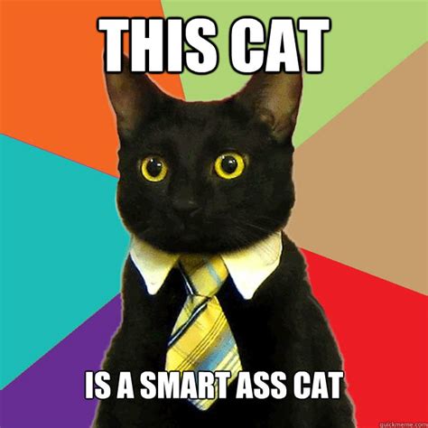 This Cat Is A Smart Ass Cat Business Cat Quickmeme