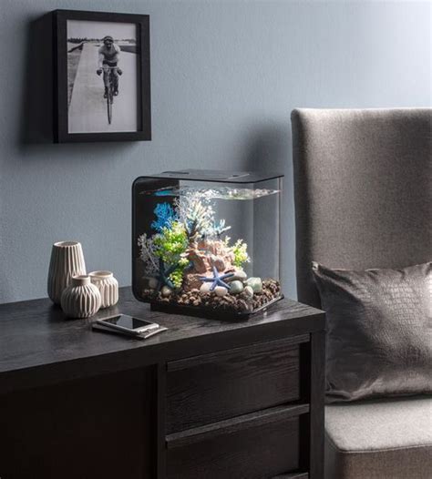 35 Moderne Mini Aquariumontwerpen Voor Uw Kleine Ruimtes Aquarium