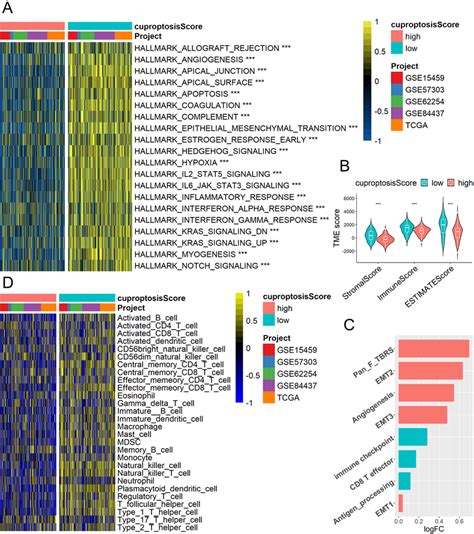 Functional Annotation And Characteristics Of The Tme In Two Cps Groups