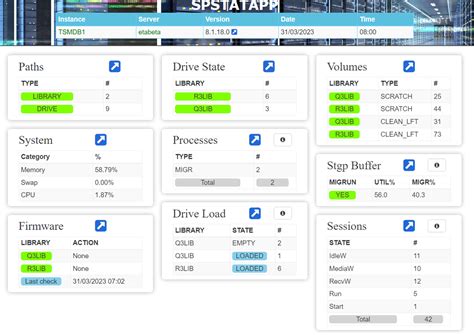 Ibm Spectrum Protect Summary Table Description Of Fields Ibm Storage Defender