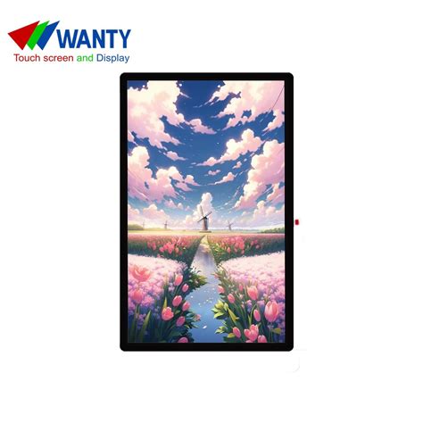 Sunlight Readable IPS LCD Multi Finger Cap Touch Panel Capacitive Touch Display Touch Display
