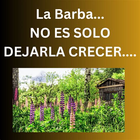 Relajante Sesión De Cuidado De Barba Vamos A Consentir Tu Barba Con