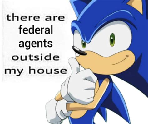 Basically The Plot Of Sonic X Rmoonpissing