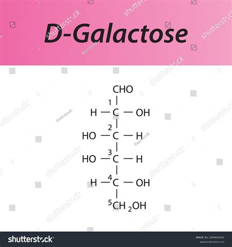 Straight Chain Form Chemical Structure Dgalactose Stock Vector Royalty