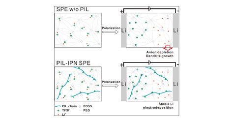 Polymerized Ionic Liquid Containing Interpenetrating Network Solid Polymer Electrolytes For All