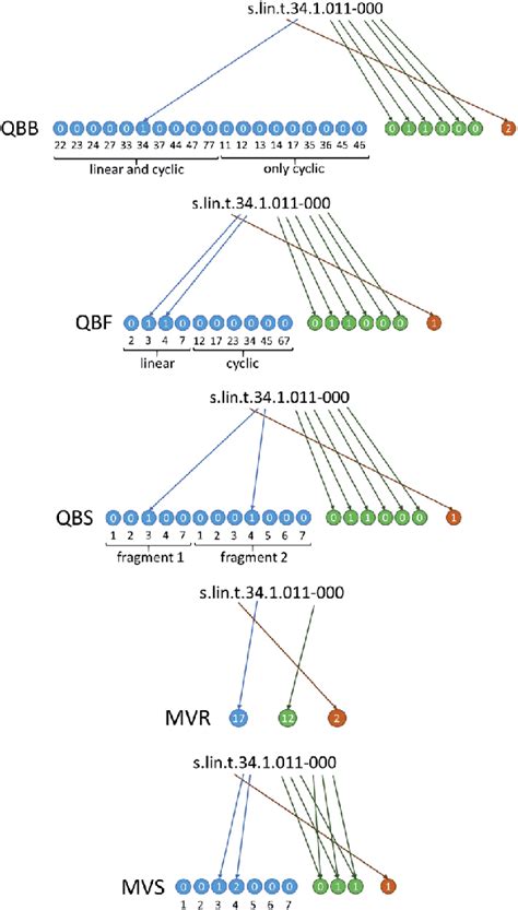 generation of molecular string representations for linear dimer 71 of