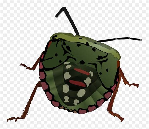 Lightning Bug Clipart Bug Clip Art Png Download 130631 Pinclipart