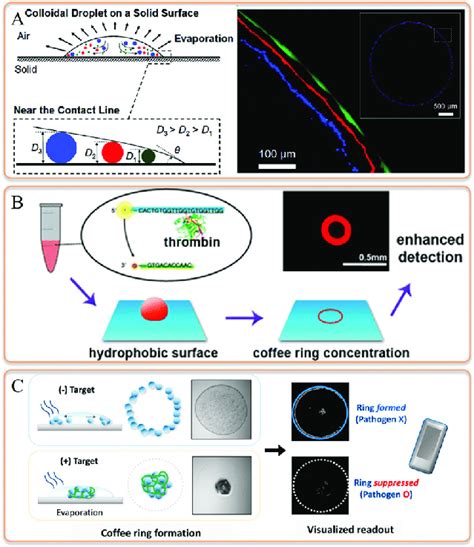 A The Particle Separation Based On The Particle Size Selection