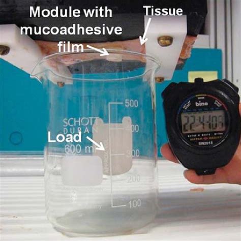 Experimental Setup For Shear Test Download Scientific Diagram