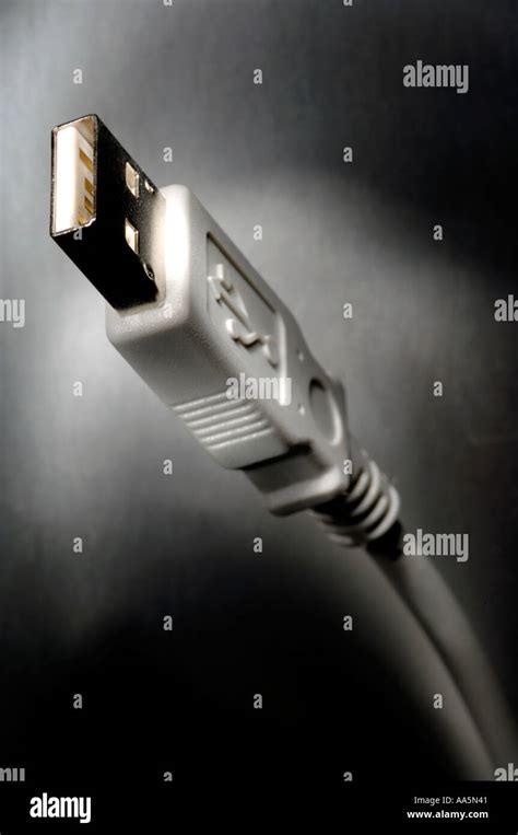 Usb Computer Cable Stock Photo Alamy