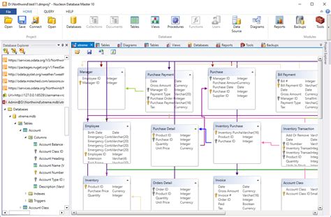 Database Master Nucleon Software