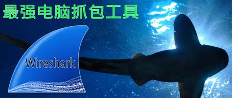 最强电脑抓包工具wireshark中文版下载 经典电脑抓包软件 知乎