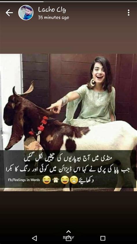 Azmat Ali On Linkedin 😂😂