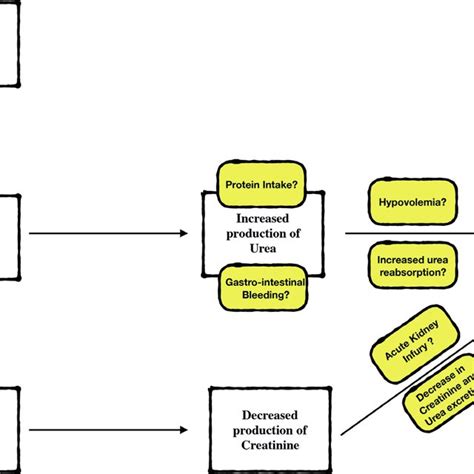 Ureacreatinine Ratio In Critical Illness Download Scientific Diagram