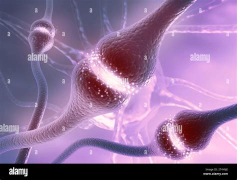 Neuron Cells Sending Electrical Chemical Signals 3d Illustration Stock