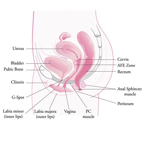 Great Sexpectations 2 Not All Women Have A G Spot Getting Naked