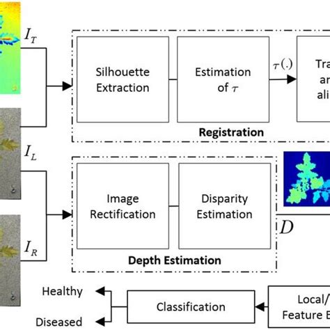 Precipitation Algorithm To Leaf Water Potential Download Scientific Diagram