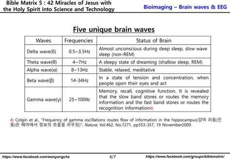 Bible Matrix 540bioimaging Technologybrain Waves And Eeg How To