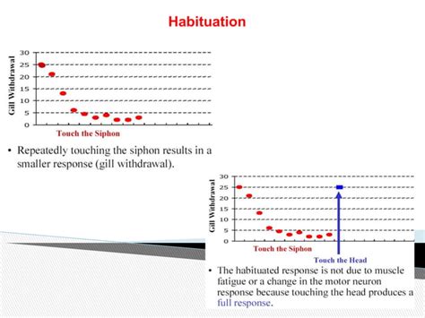 Physiology Of Memory And Learning Pptx