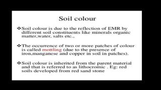 SOIL MICROBIOLOGY PPT