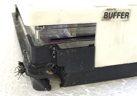 A Few Words About 10x Dilution Buffer